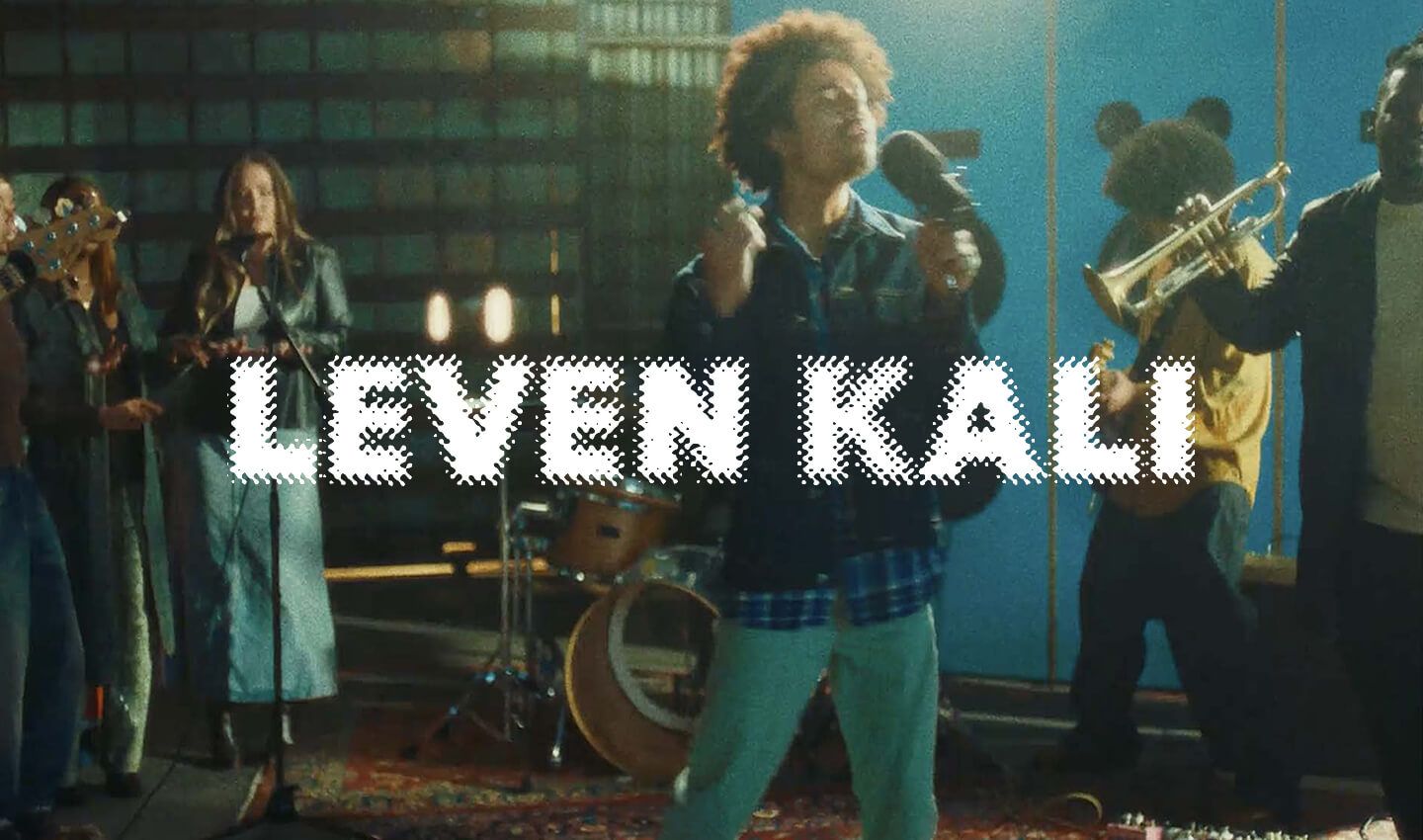 About - Leven Kali